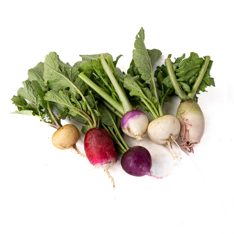 Rábanos Orgánicos – Corymbo Natural Food Co.